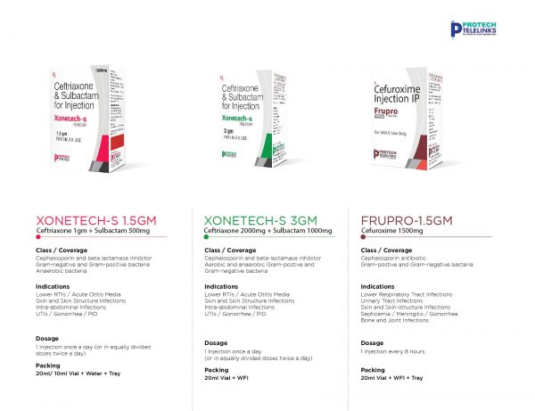 Our Products | Protech Telelinks